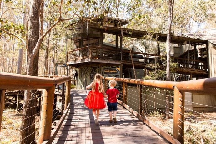 Daisy Hill Koala Centre - Brisbane Kids