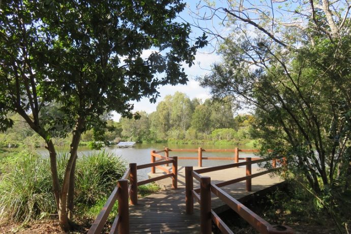 Biami Yumba Park at Fig Tree Pocket - Brisbane Kids