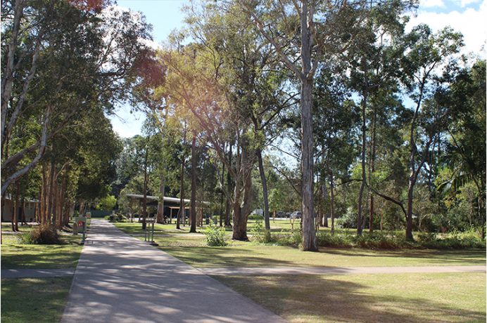 Calamvale District Park | Awesome Brisbane Playground - Brisbane Kids