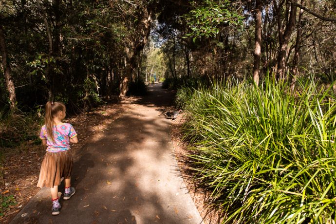 Berrinba Wetlands at Browns Plains - Brisbane Kids