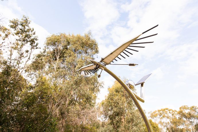 Berrinba Wetlands at Browns Plains - Brisbane Kids