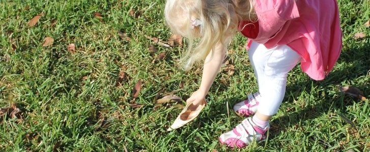 17 Super Seed Pod Ideas | Nature Play - Brisbane Kids