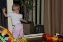 Fun Possum Facts for Kids - Brisbane Kids