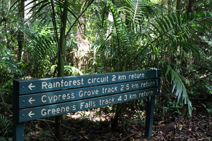 Greenes Falls Mount Glorious - Brisbane Kids