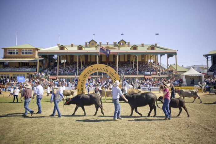 Ekka - Royal Queensland Show (2025) - Brisbane Kids