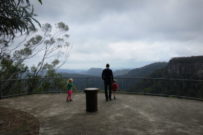 Twin Falls Circuit | Springbrook National Park - Brisbane Kids