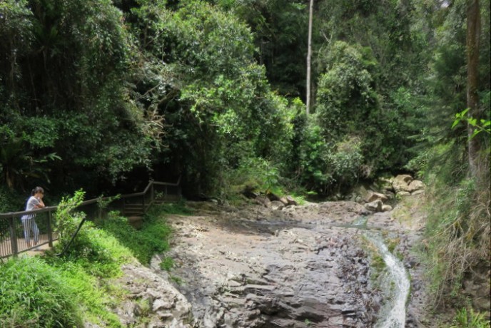 Natural Bridge Circuit | Springbrook National Park - Brisbane Kids