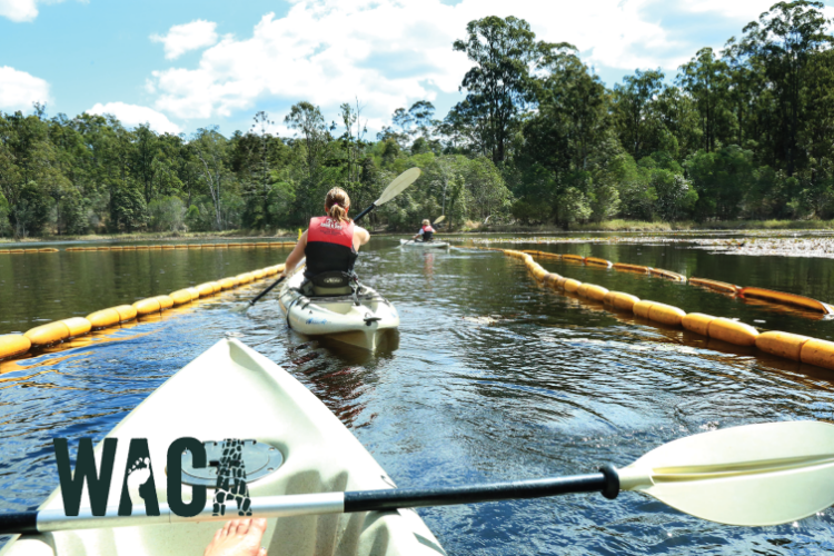 Equipment Hire at Enoggera Reservoir | Walkabout Creek Adventures in ...