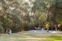 Les Atkinson Park in Sunnybank - Brisbane Kids