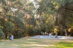 Les Atkinson Park in Sunnybank - Brisbane Kids