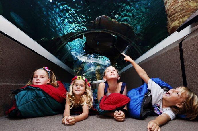 Family Things To Do in Mooloolaba - Brisbane Kids