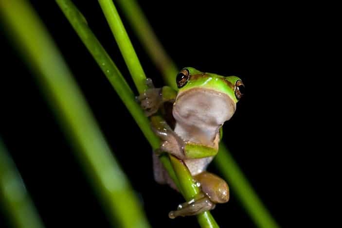 10 things you must see at the World Science Festival Brisbane ...