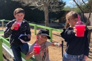 Get lost at the Granite Belt Maze (Stanthorpe) - Brisbane Kids