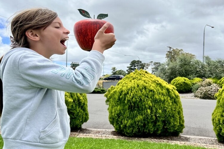 A family-friendly itinerary for Stanthorpe and the Granite Belt region ...