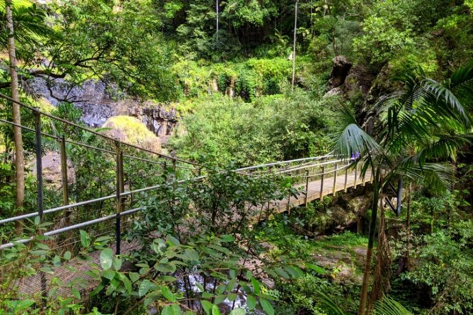 Purling Brook Falls in Springbrook National Park - Brisbane Kids