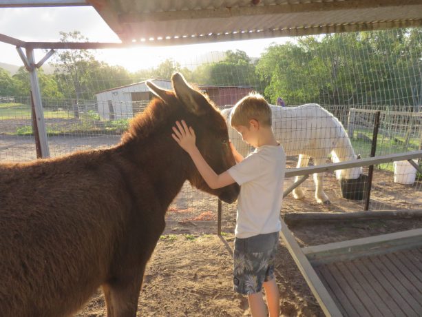Trevena Glen Farm, Mt Samson - Brisbane Kids