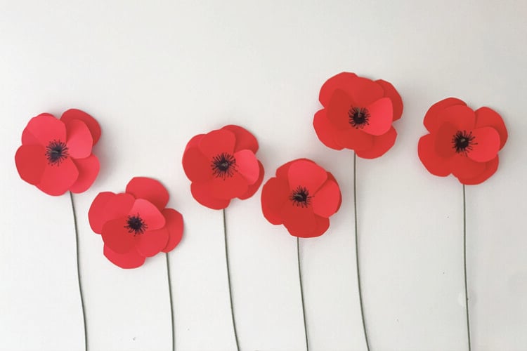 How to make a paper ANZAC poppy - Brisbane Kids