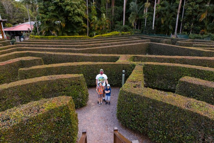 Things to Do on the Sunshine Coast in Winter - Brisbane Kids