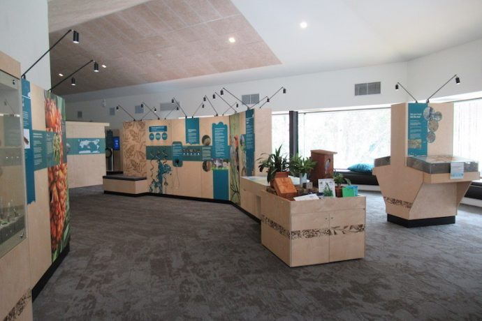 Nature Centres In Brisbane - Brisbane Kids