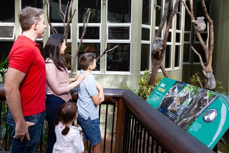 Free Things To Do In Logan - Brisbane Kids