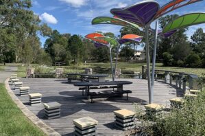 The Lake Parklands Forest Lake - Brisbane Kids