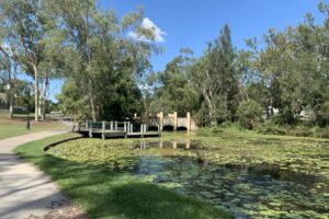 The Lake Parklands Forest Lake - Brisbane Kids