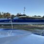 How to Catch a Brisbane River CityCat - Brisbane Kids