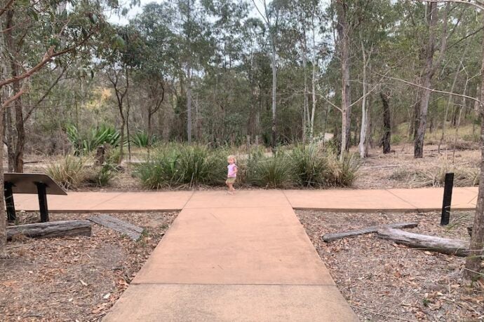 Walkabout Creek Wildlife Centre The Gap | Nature for Kids in Brisbane ...
