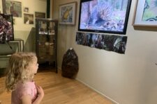 Walkabout Creek Wildlife Centre The Gap | Nature for Kids in Brisbane ...