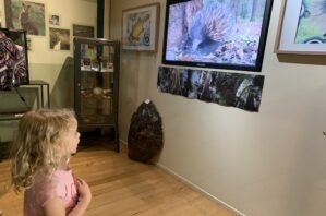 Walkabout Creek Wildlife Centre The Gap | Nature for Kids in Brisbane ...
