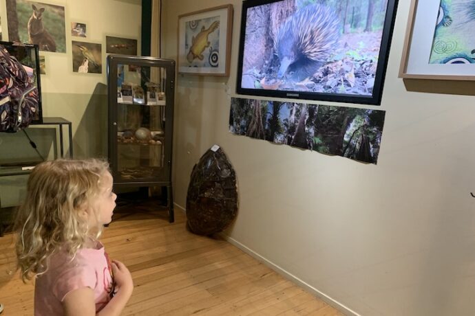 Walkabout Creek Wildlife Centre The Gap | Nature for Kids in Brisbane ...