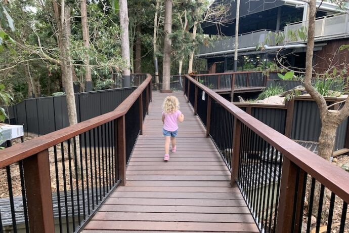 Walkabout Creek Wildlife Centre The Gap | Nature for Kids in Brisbane ...