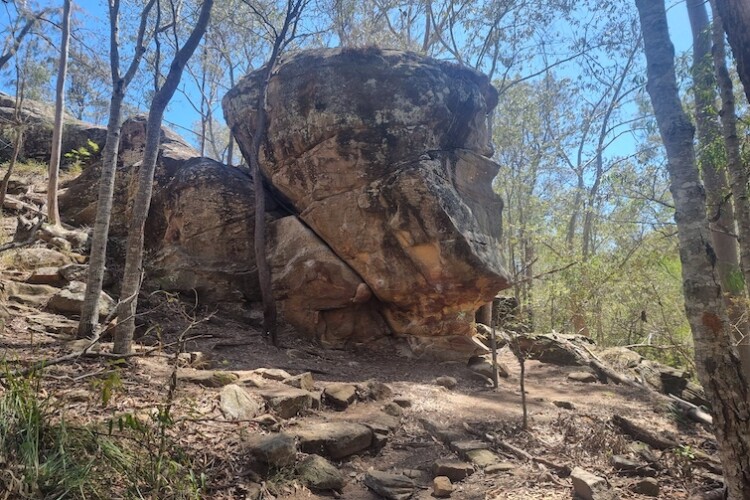 White Rock Spring Mountain Conservation Estate, Ipswich - Brisbane Kids
