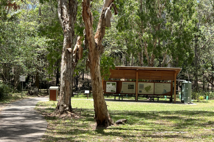 Cornubia Forest Park - Brisbane Kids