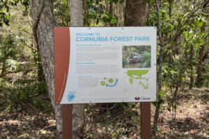 Cornubia Forest Park - Brisbane Kids