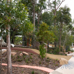 Billubera Park at Yarrabilba - a mega-park with a natural difference ...