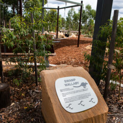 Billubera Park at Yarrabilba - a mega-park with a natural difference ...