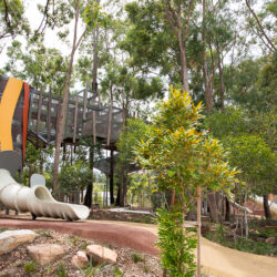 Billubera Park at Yarrabilba - a mega-park with a natural difference ...
