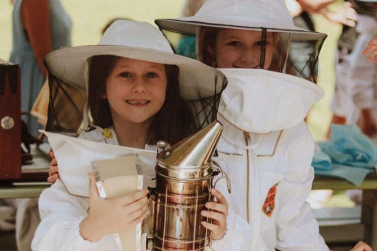 Teralba Bees - Live Bee Education Incursions for Schools, Childcare ...