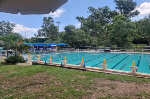 Yeronga Park Memorial Pool | Yeronga - Brisbane Kids