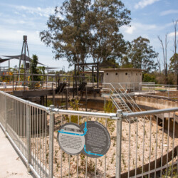 Archerfield Wetlands District Park