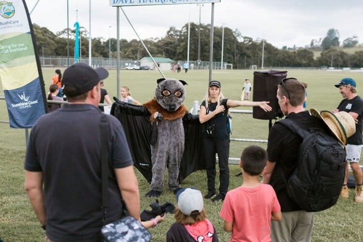 Tenth Annual Australasian Bat Night - Maleny - Brisbane Kids