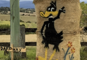 Kalbar Haybale Trail and Country Day - Brisbane Kids