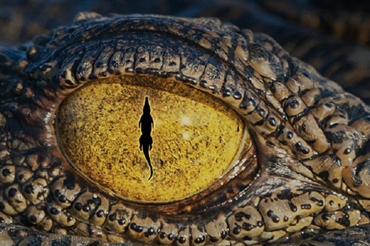 Croc! Lost Giants to Living Legends at Queensland Museum Kurilpa ...