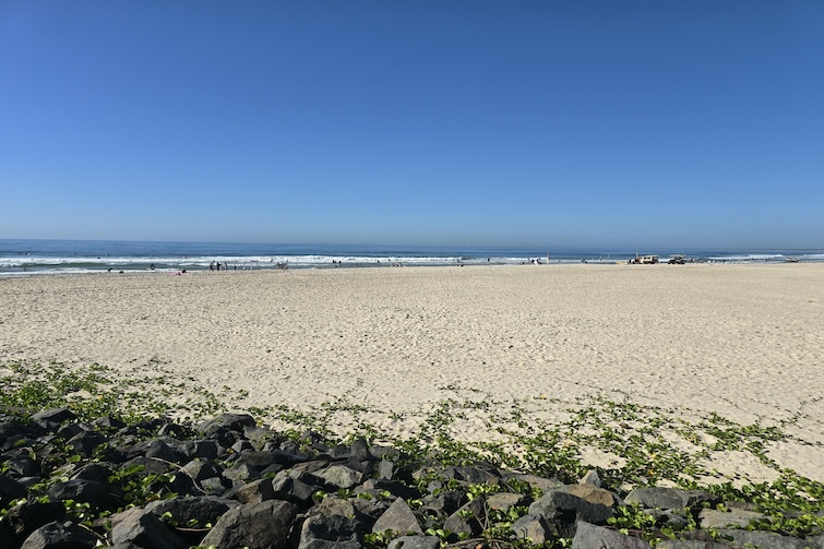 Caloundra Coastal Walk: Bulcock Beach to Kings Beach - Brisbane Kids